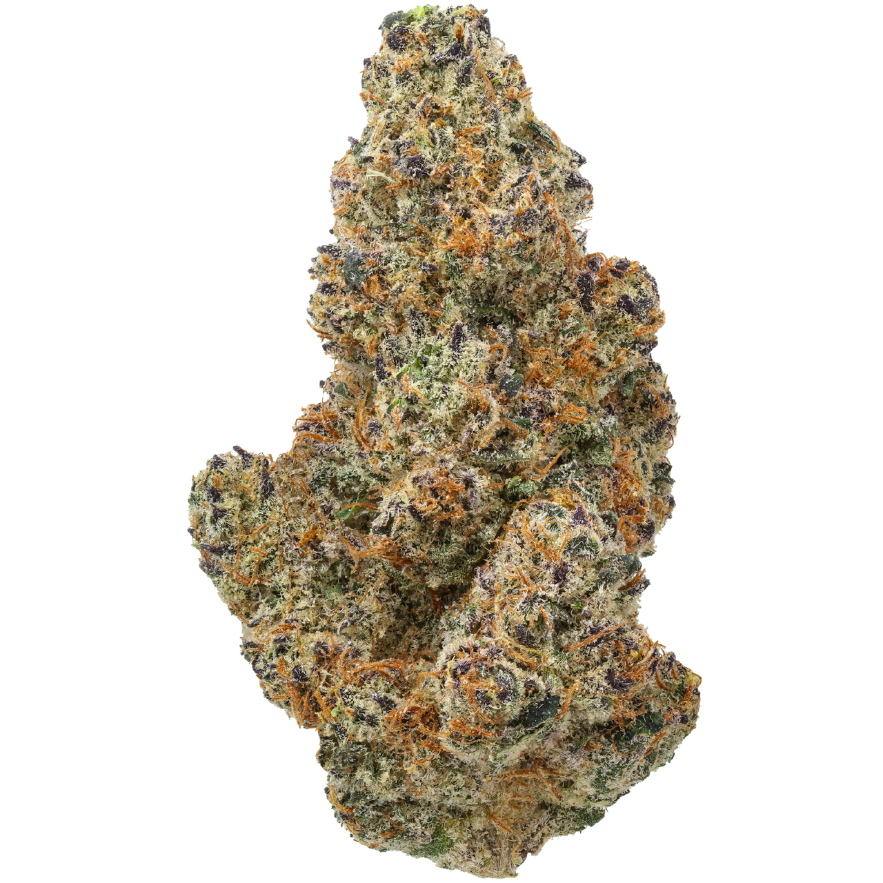 Lemon Tree | Flow Gardens – Flow Gardens Wholesale